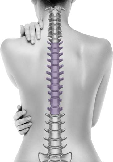 Spine Specialist and Neurosurgeon in NJ | NU-Spine